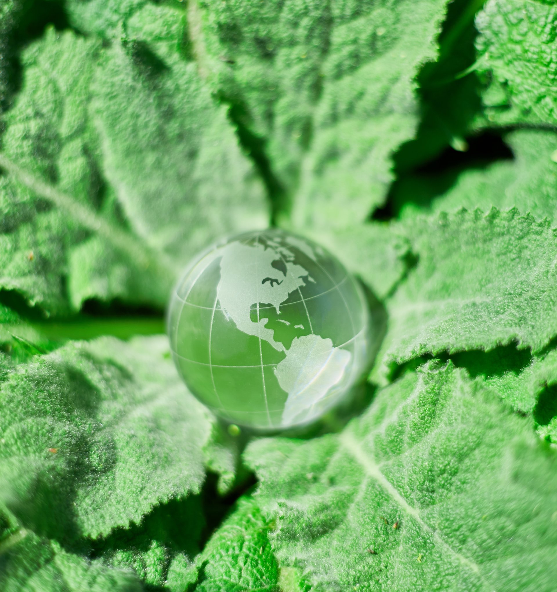 Sustainable Manufacturing – Alta Laboratories Ltd.